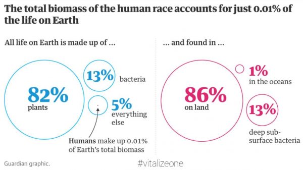 Statistical Mashup